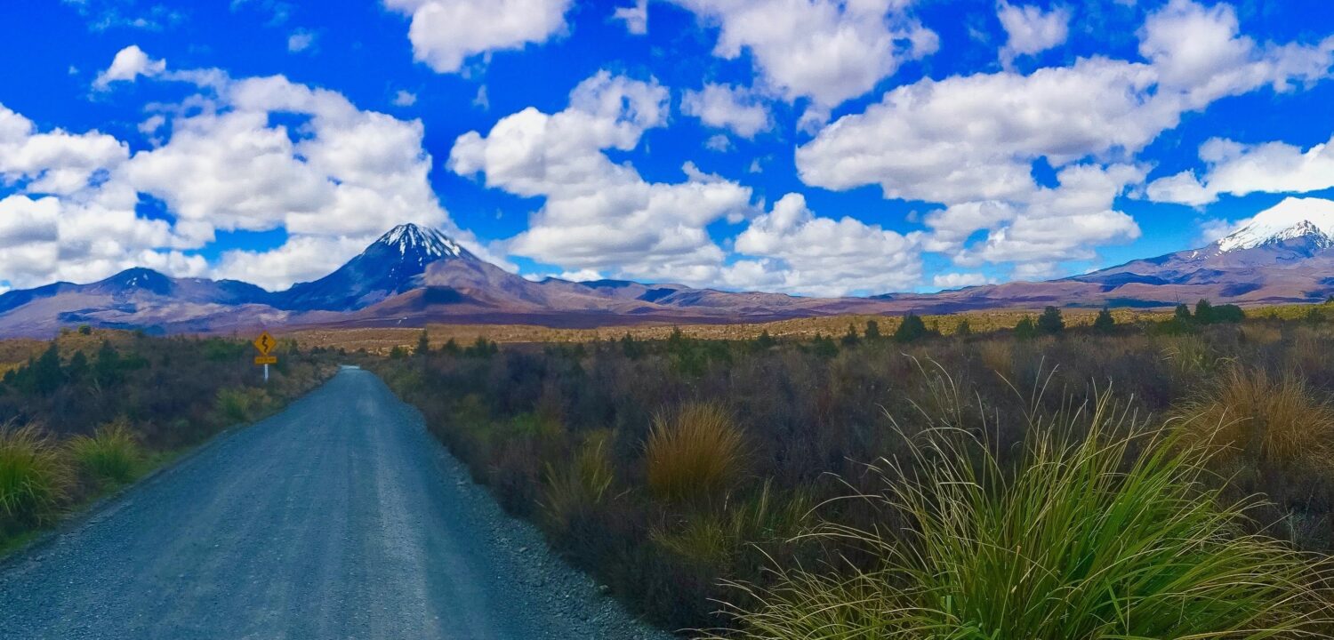 Kiwi Birds, Kiwi Fruit & Kiwi Culture | LaLee Lifestyle