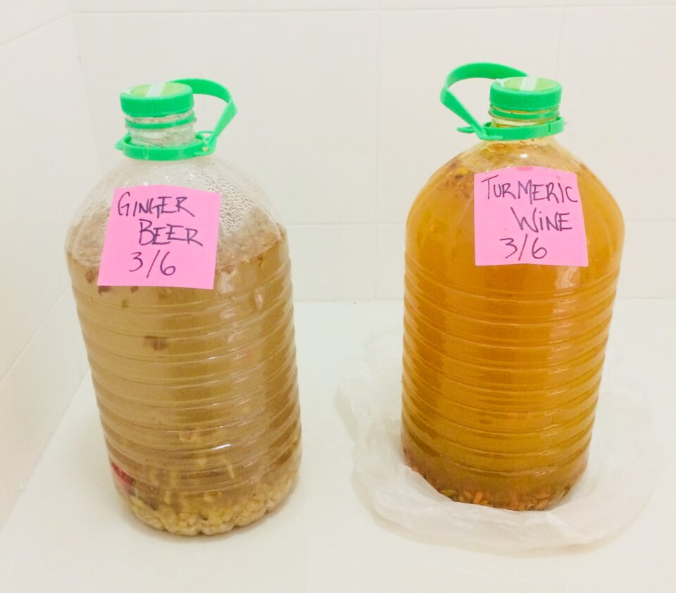 Fermented Turmeric Tea at Home (Alcoholic) — Healthy, Low Sugar ...